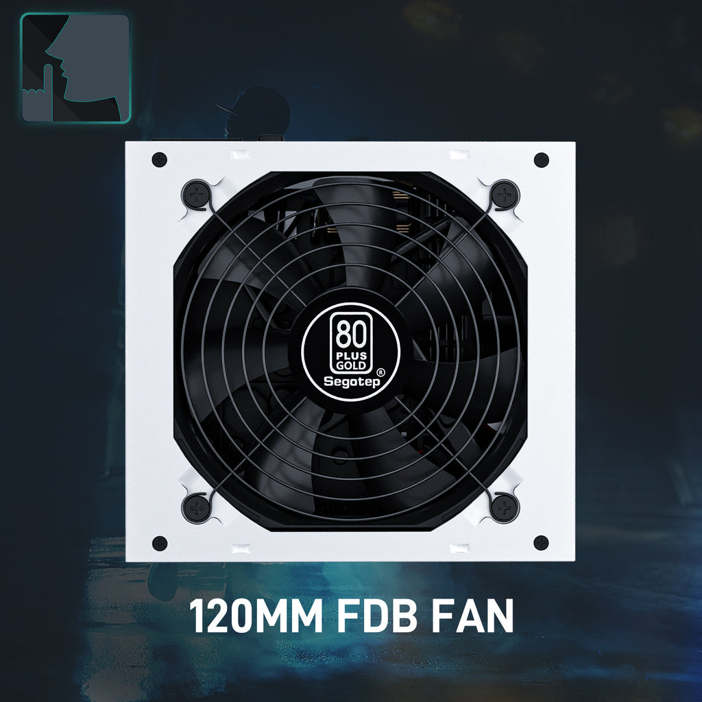 Segotep 750W Power Supply, 80 Plus Gold Full Modular PCIe 5.0 & ATX 3.