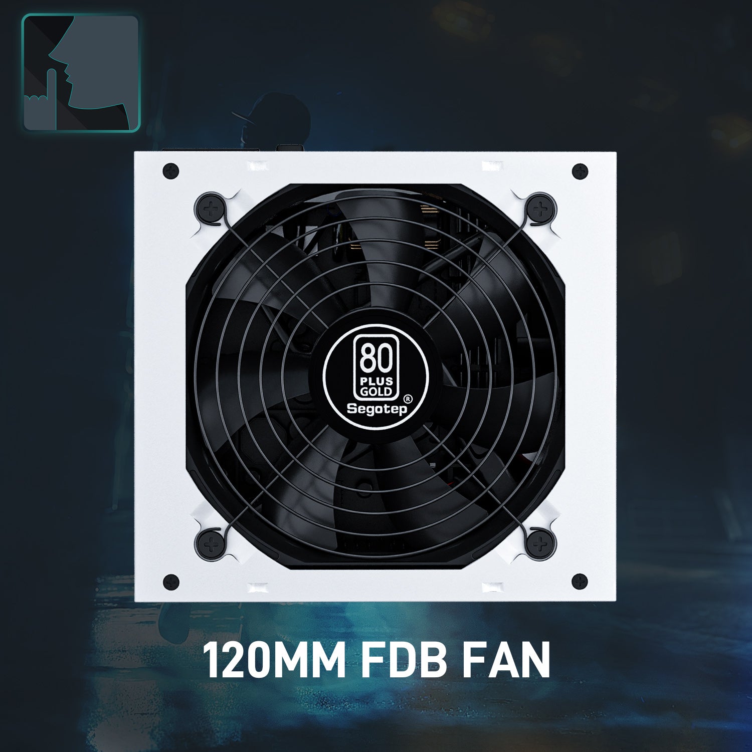 Segotep 750W Power Supply, 80 Plus Gold Full Modular PCIe 5.1 & ATX 3.