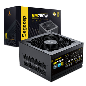 Segotep 750W Power Supply, 80 Plus Gold Full Modular PCIe 5.1 & ATX 3.